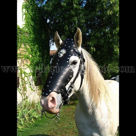 Chanfrein médiéval GAUVAIN