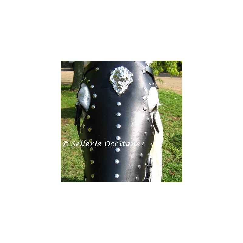 Chanfrein médiéval GAUVAIN