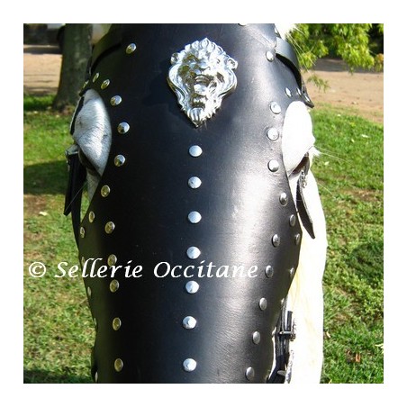 Chanfrein médiéval GAUVAIN